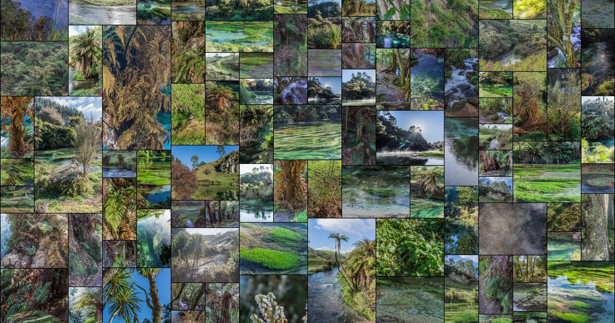 464 photos of Blue Spring – Fotoref