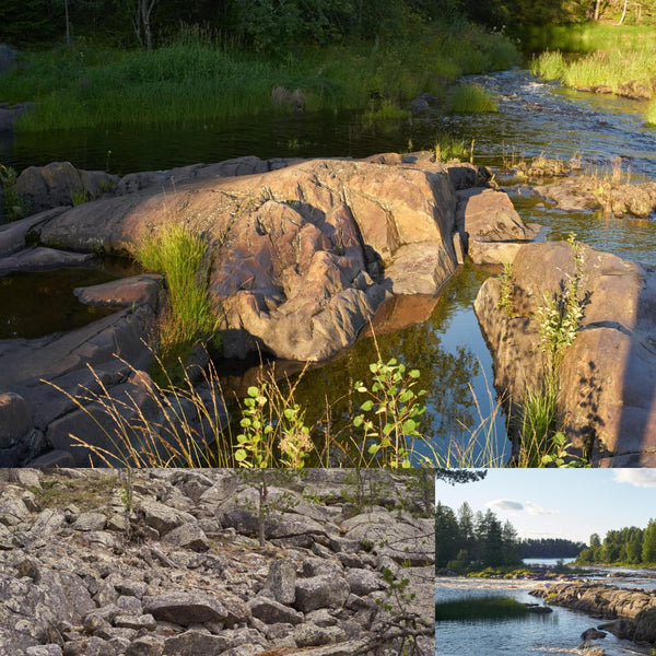 Nature – Reference Photopacks – Fotoref