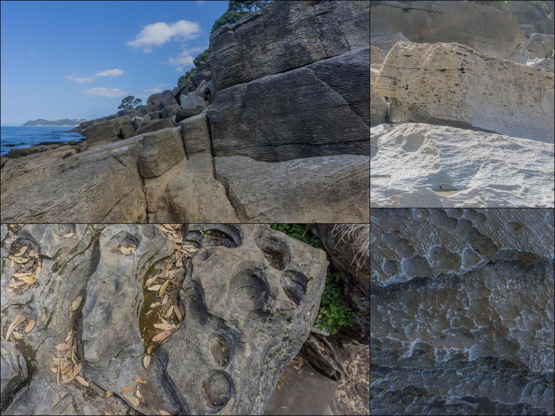 259 photos of Waipu Layered Rocks – Fotoref