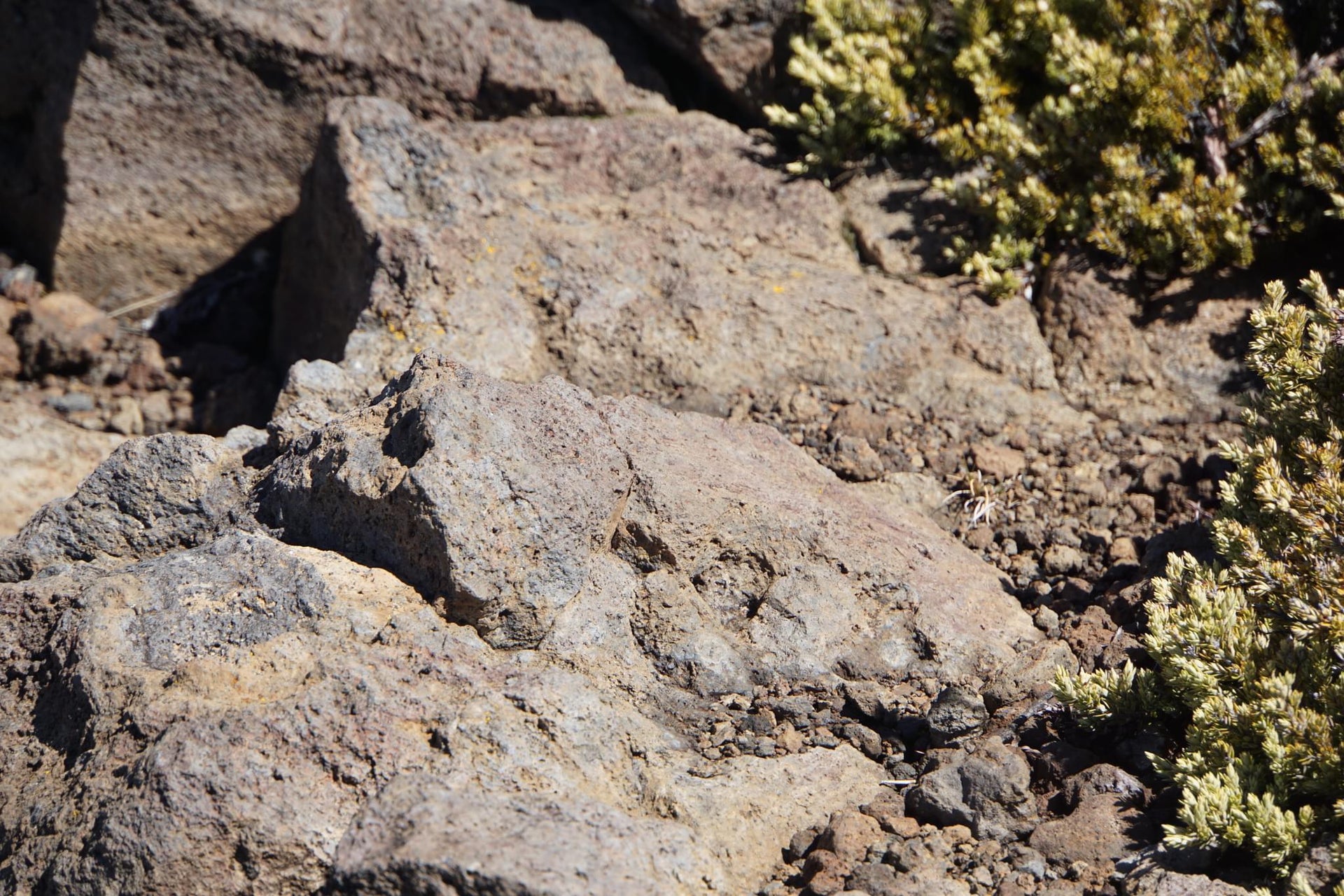 97 photos of Volcanic Rubble Rocks – Fotoref