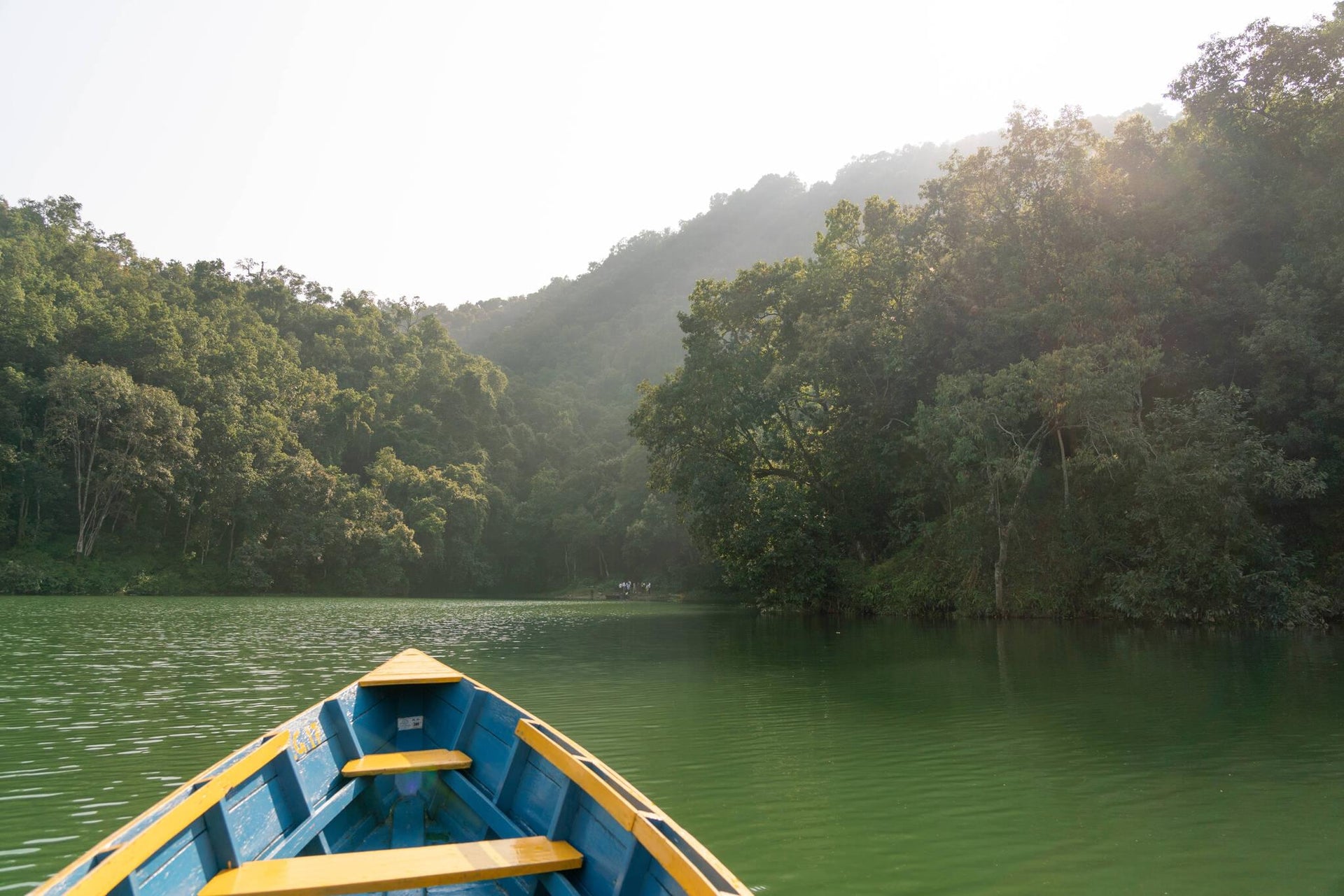 218 photos of Himalayan Jungle Lake – Fotoref