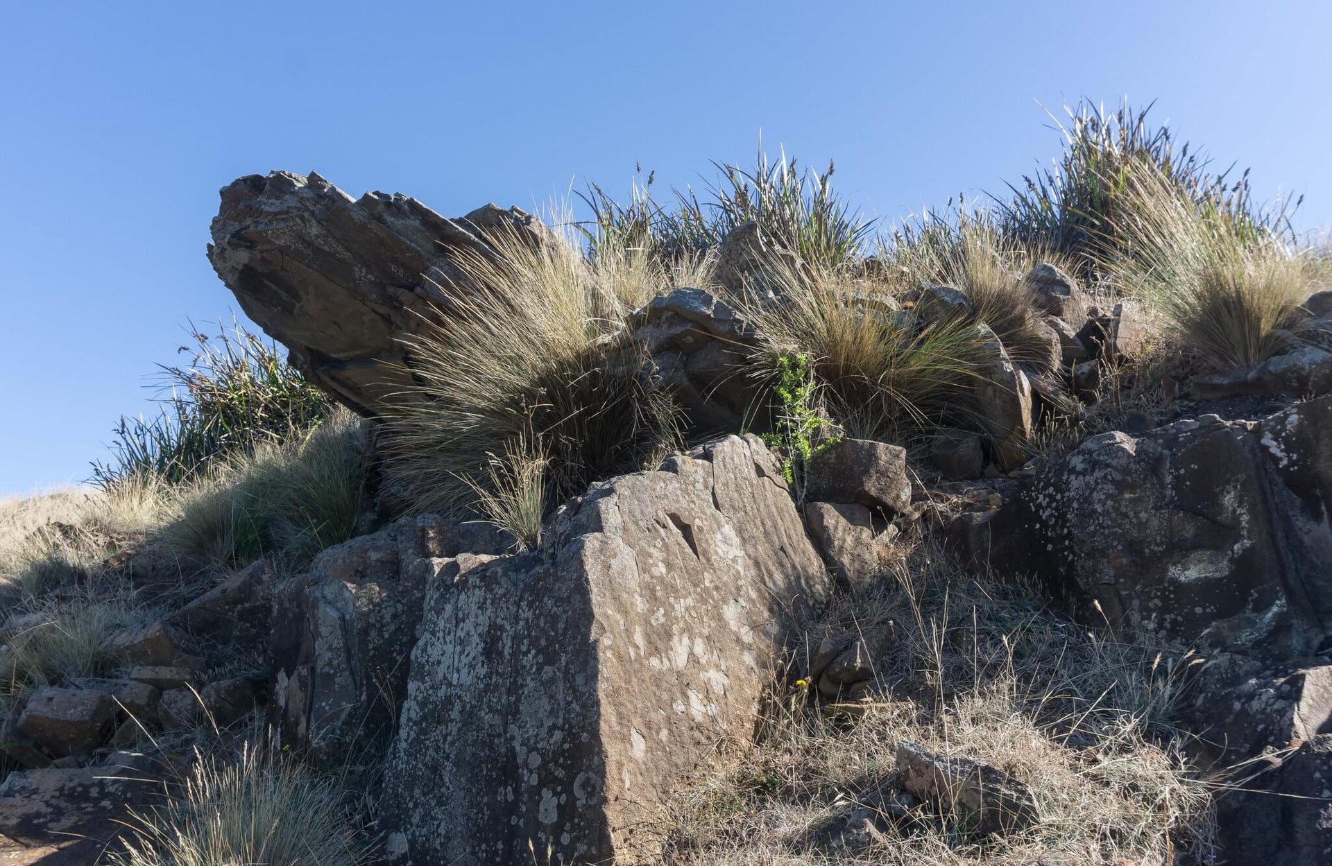 203 photos of Spiky Rocks Beach – Fotoref