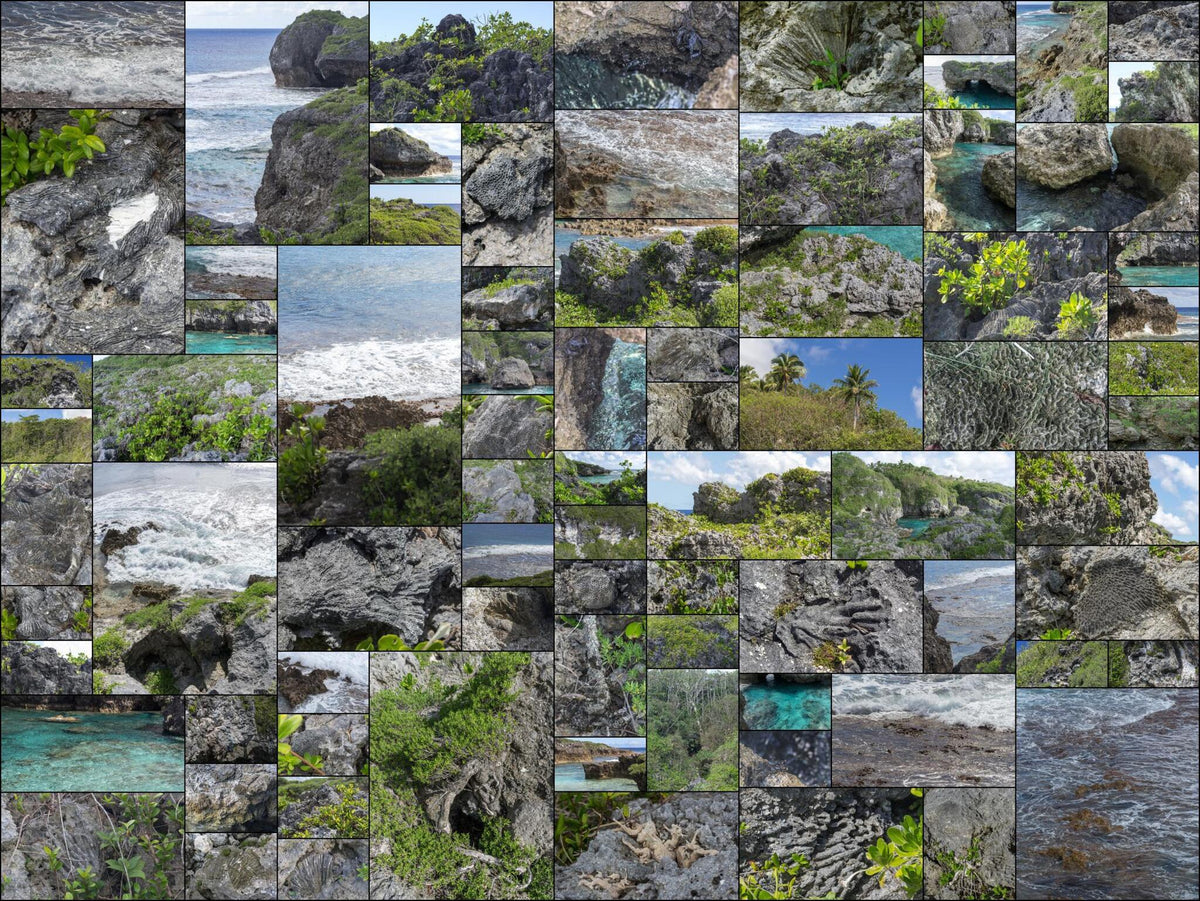 160 photos of Coral Cliffs Cove – Fotoref