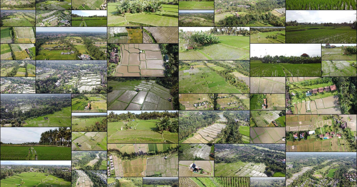216 photos of Bali Rice Paddies – Fotoref
