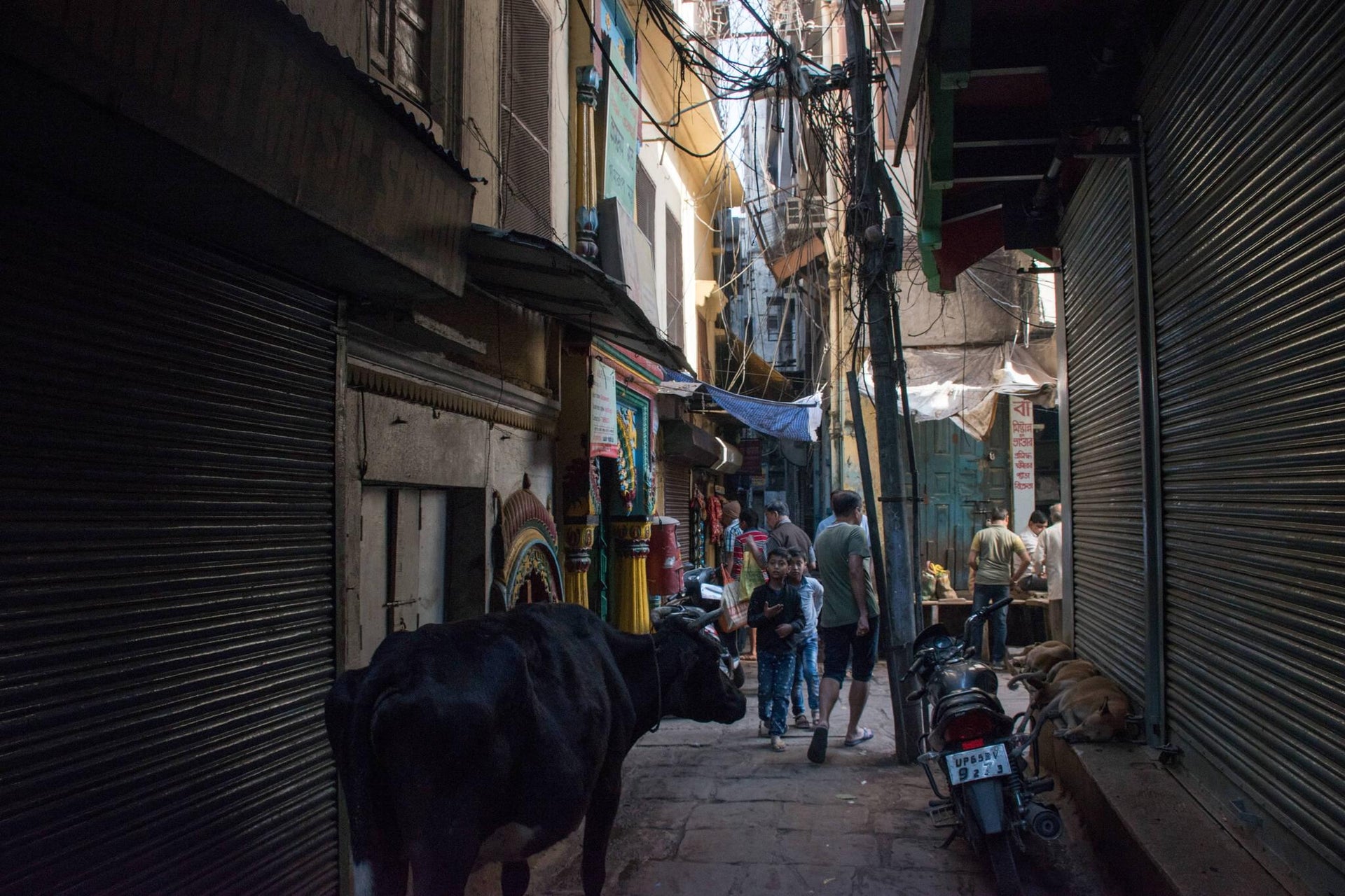 531 photos of Varanasi Busy Narrow Streets – Fotoref
