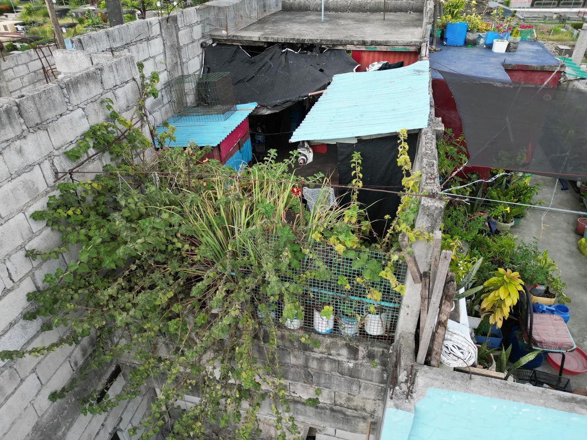 67 photos of Grey Brick Slummy Buildings – Fotoref