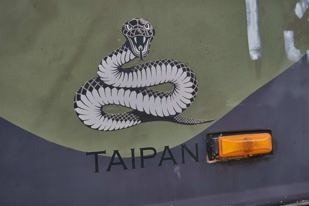 45 photos of Infantry Mobile Vehicle Taipan – Fotoref