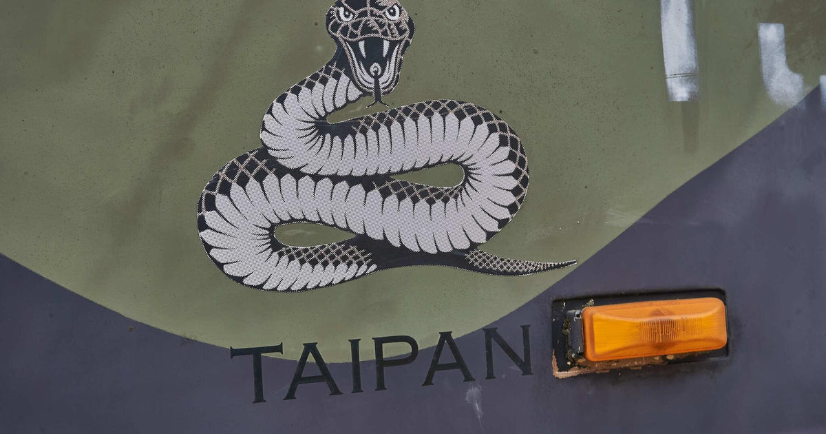 45 photos of Infantry Mobile Vehicle Taipan – Fotoref