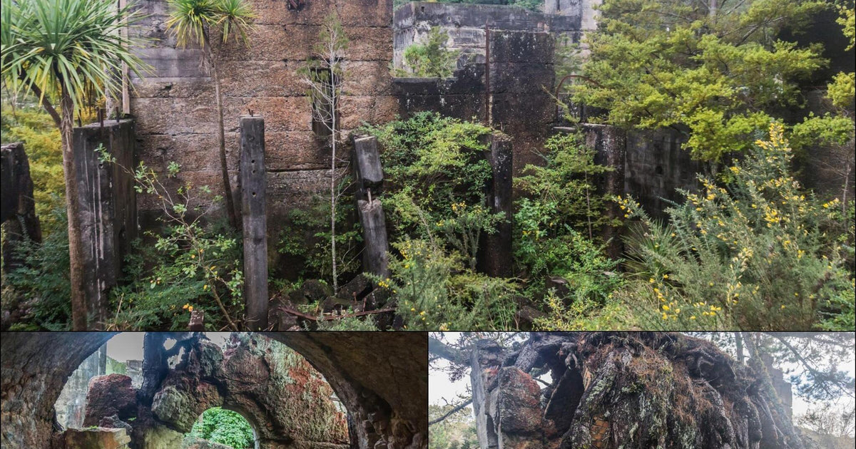 342 photos of Old Cement Factory – Fotoref