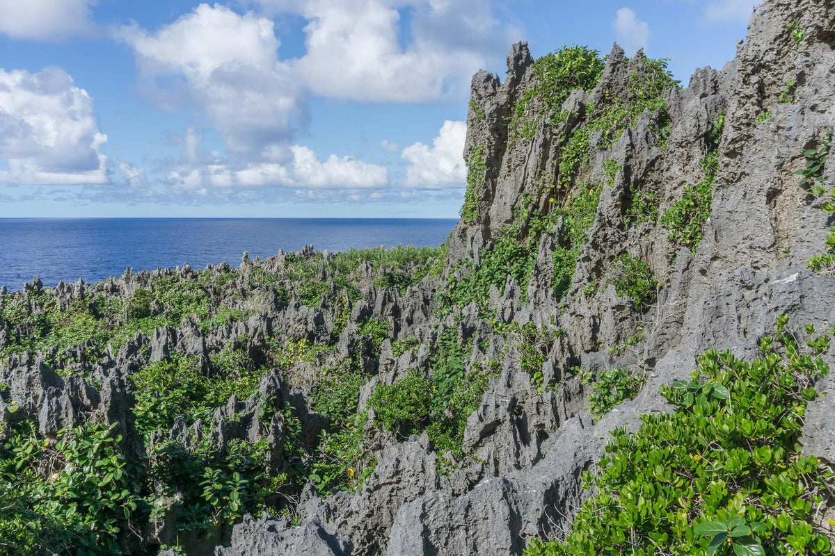 280 photos of Razor-Sharp Coral Formations – Fotoref