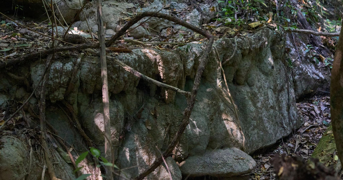 48 photos of Dried Overgrown Terrace Waterfall – Fotoref