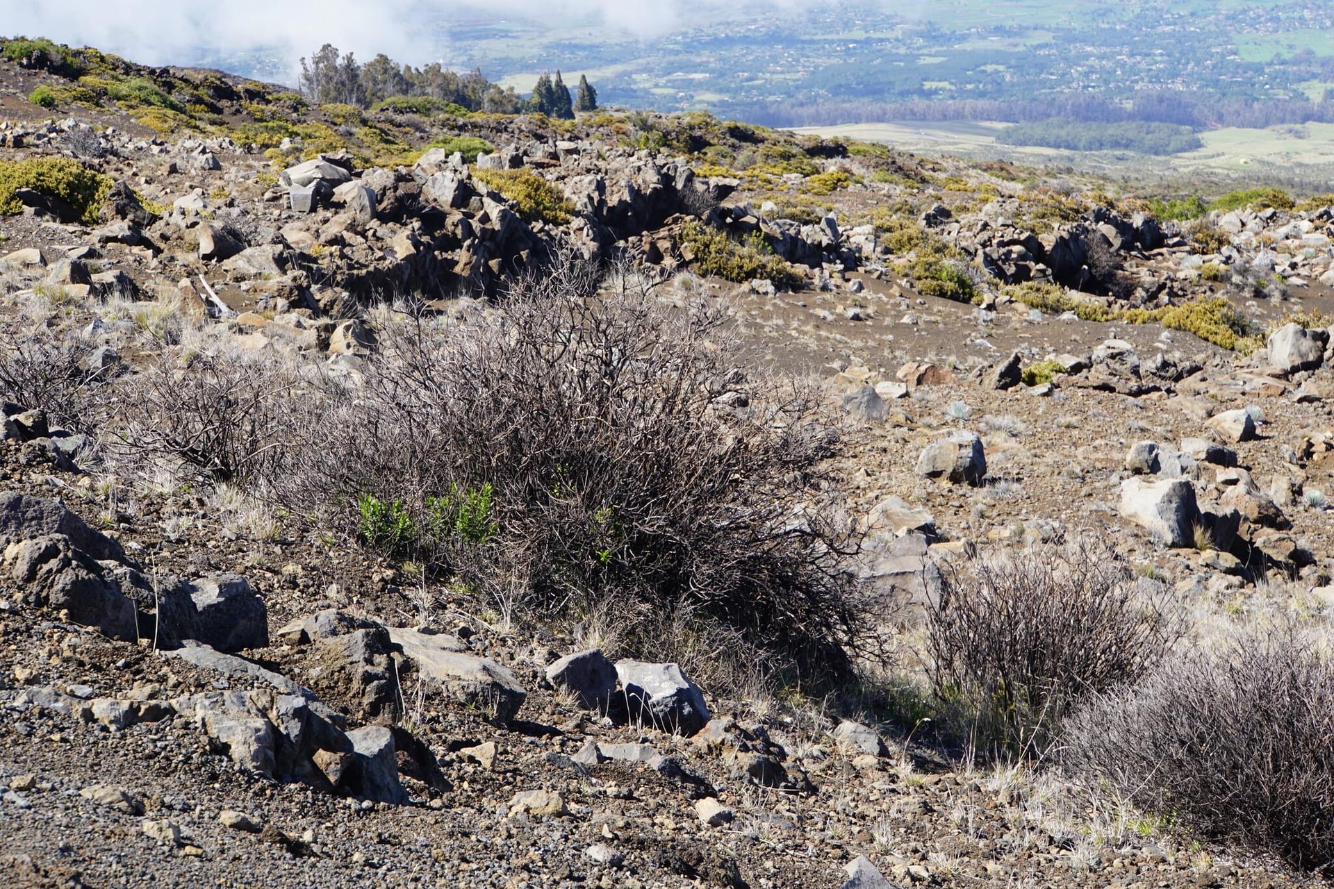97 photos of Volcanic Rubble Rocks – Fotoref
