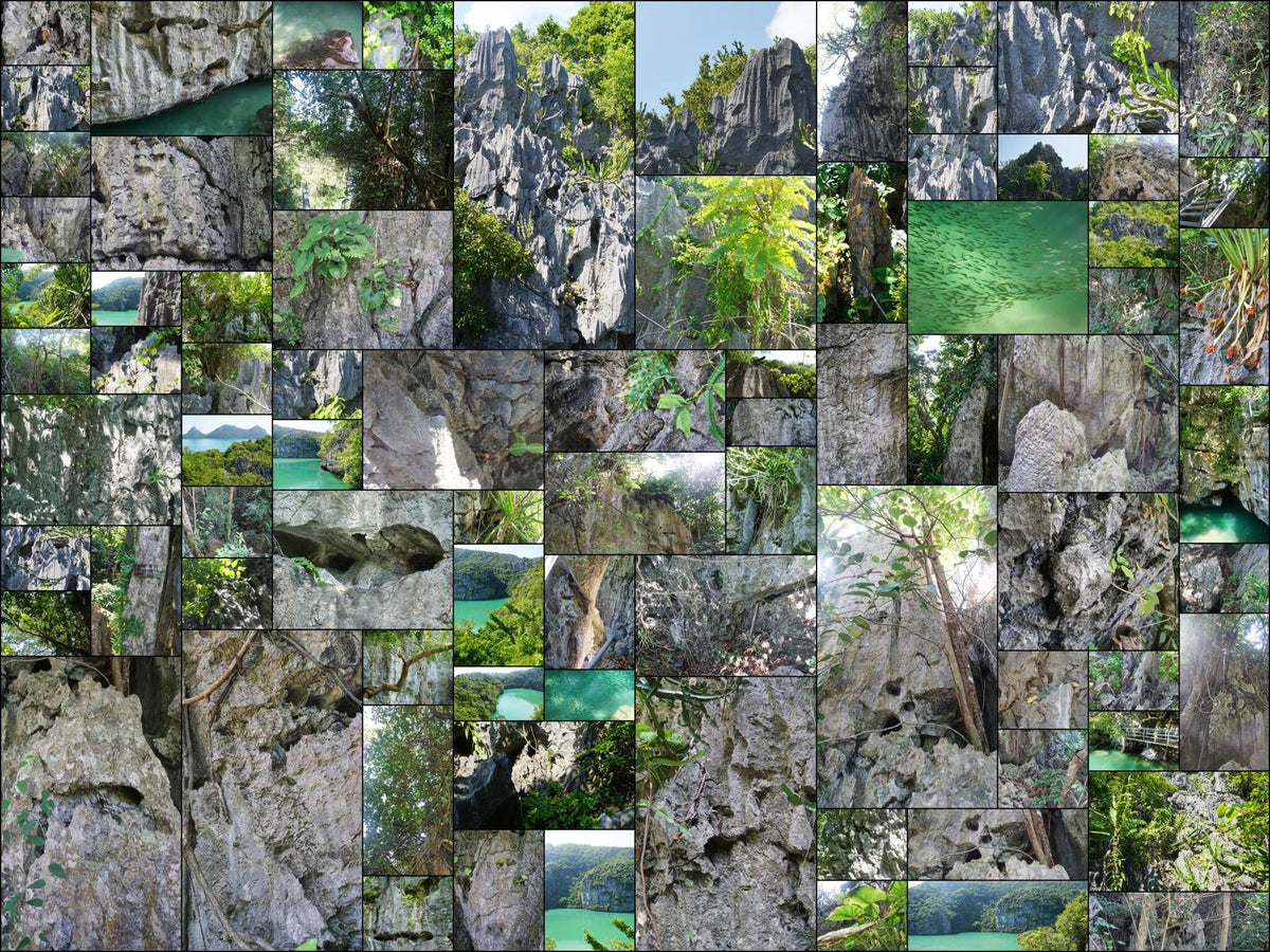 164 photos of Inner Island Lagoon – Fotoref