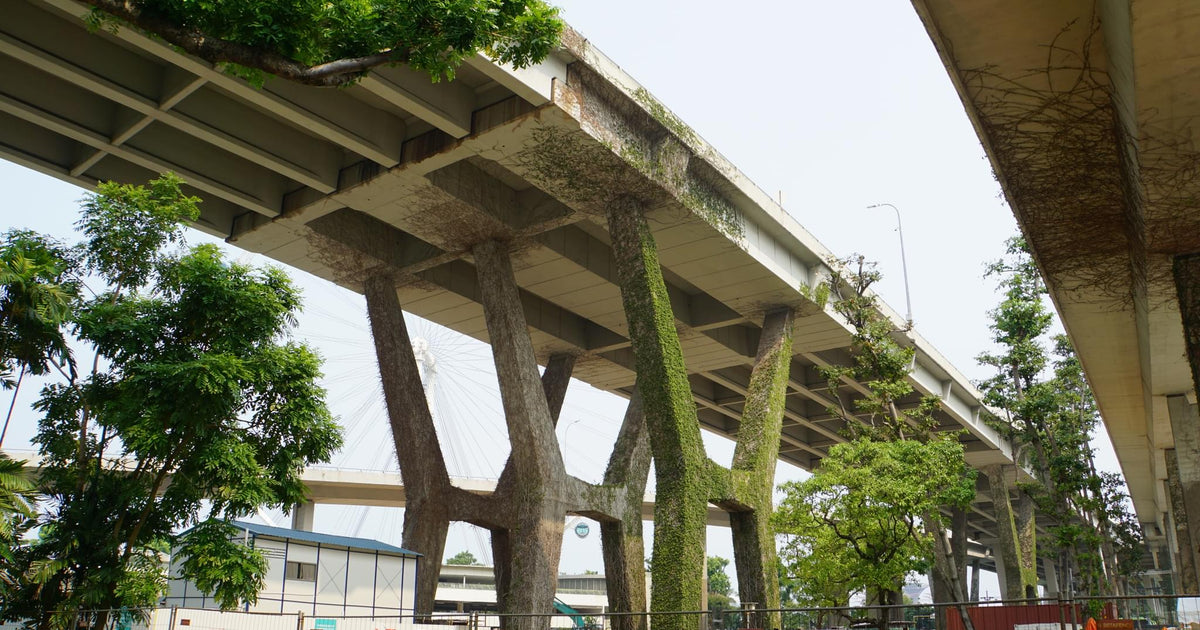 159 photos of Overgrown Road Bridge Supports – Fotoref