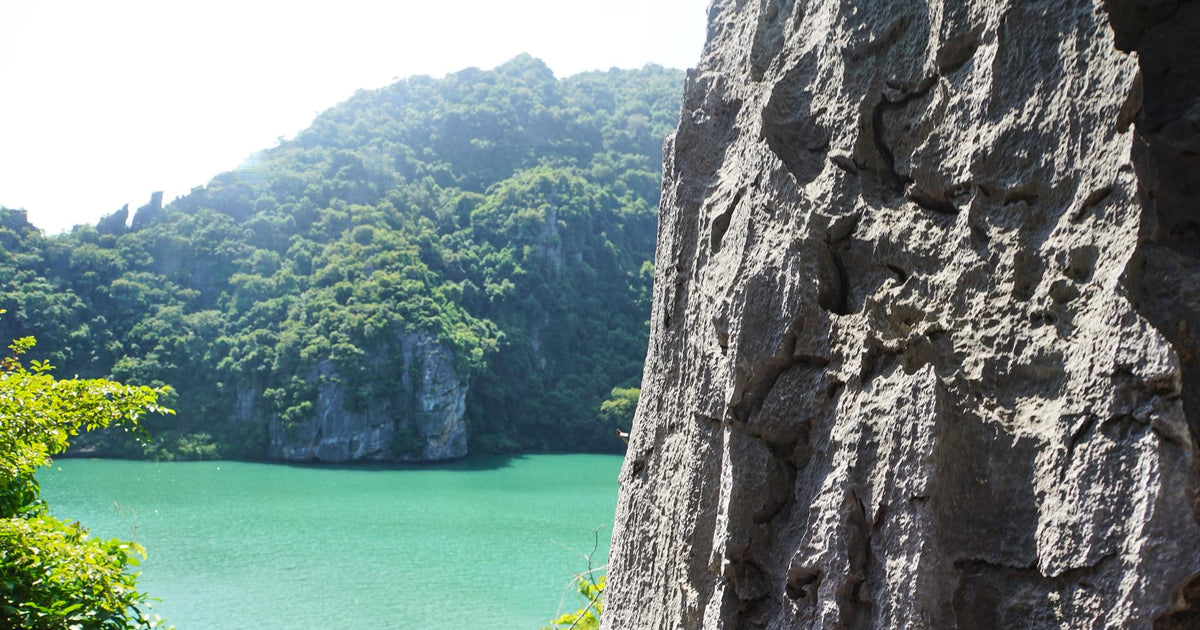 164 photos of Inner Island Lagoon – Fotoref