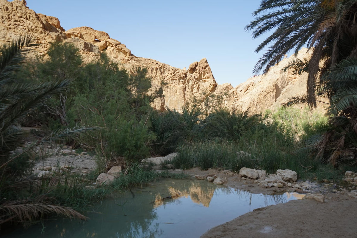 190 photos of Tunisian Desert Oasis – Fotoref