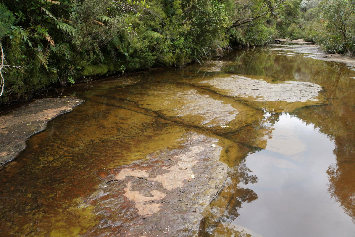 190 photos of Rusty Rocks Shallow River – Fotoref