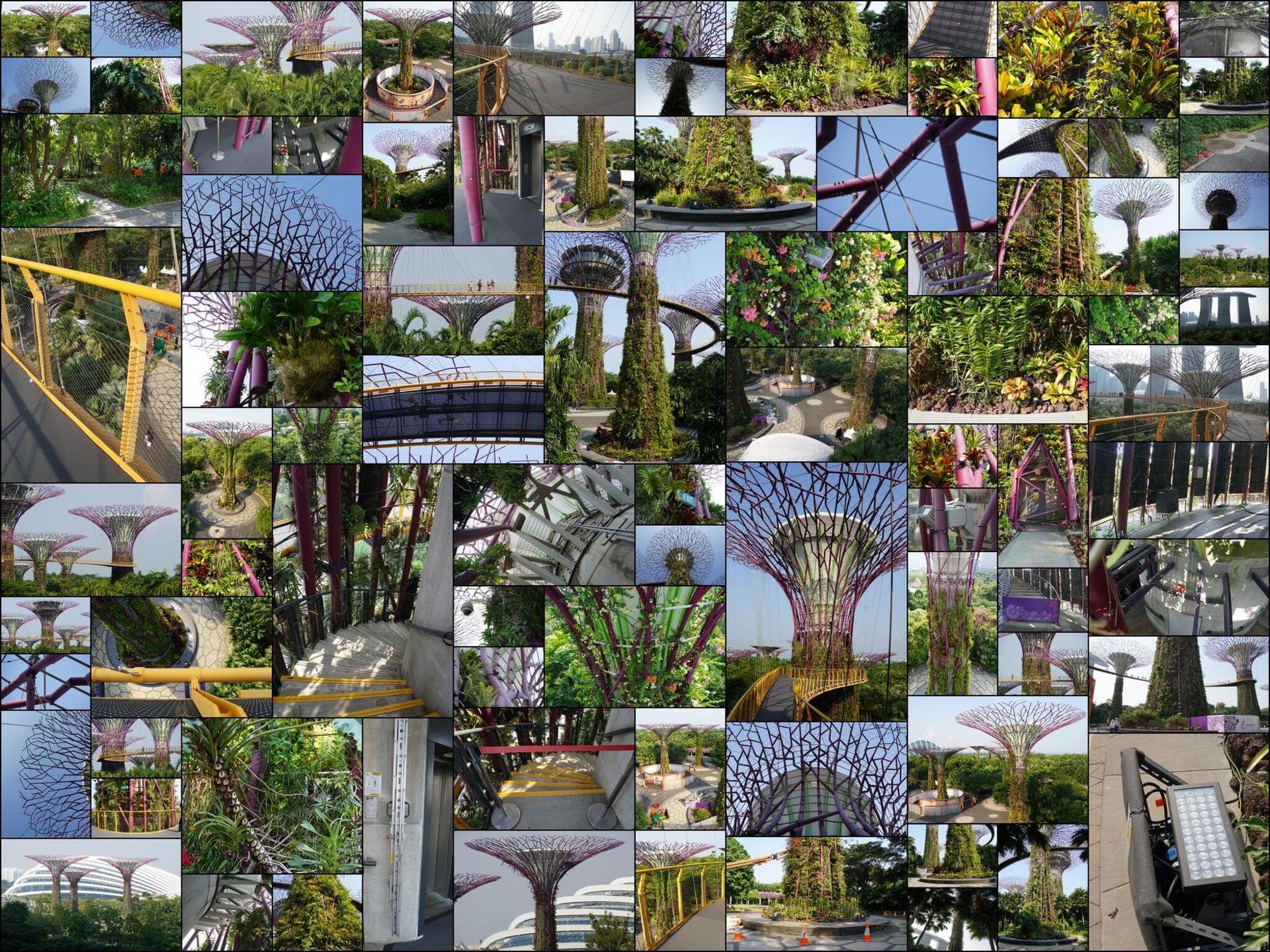 255 photos of Giant Tree Garden Structures – Fotoref