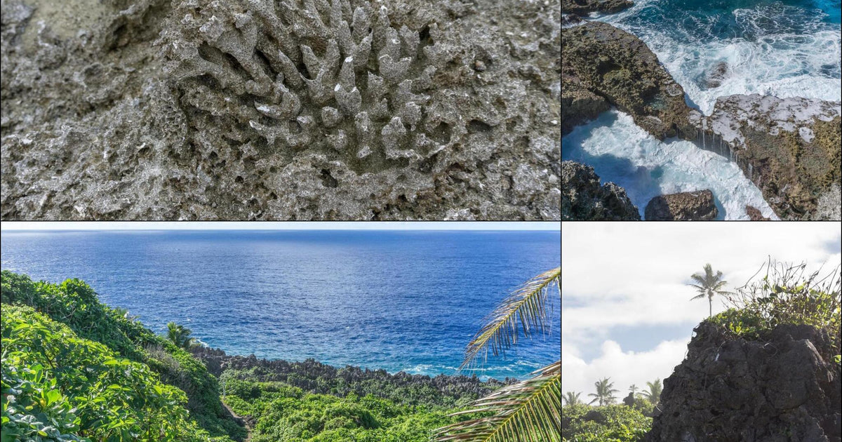 280 photos of Razor-Sharp Coral Formations – Fotoref