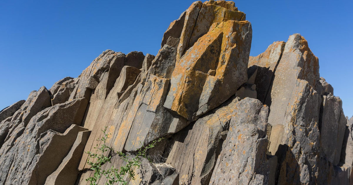 203 photos of Spiky Rocks Beach – Fotoref