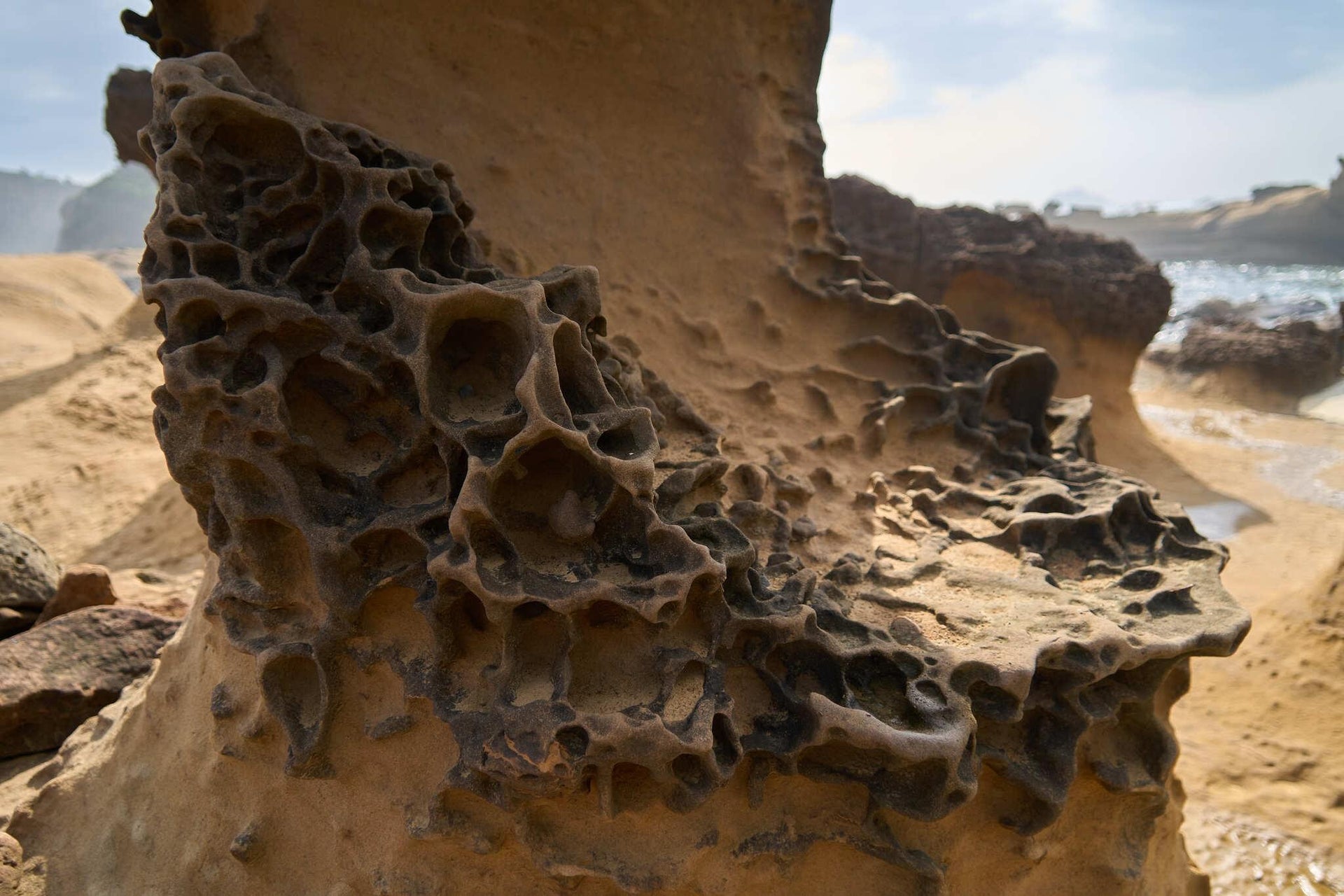 296 photos of Yellow Porous Volcanic Beach Rocks – Fotoref