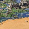 66 photos of Rust Sand – Fotoref