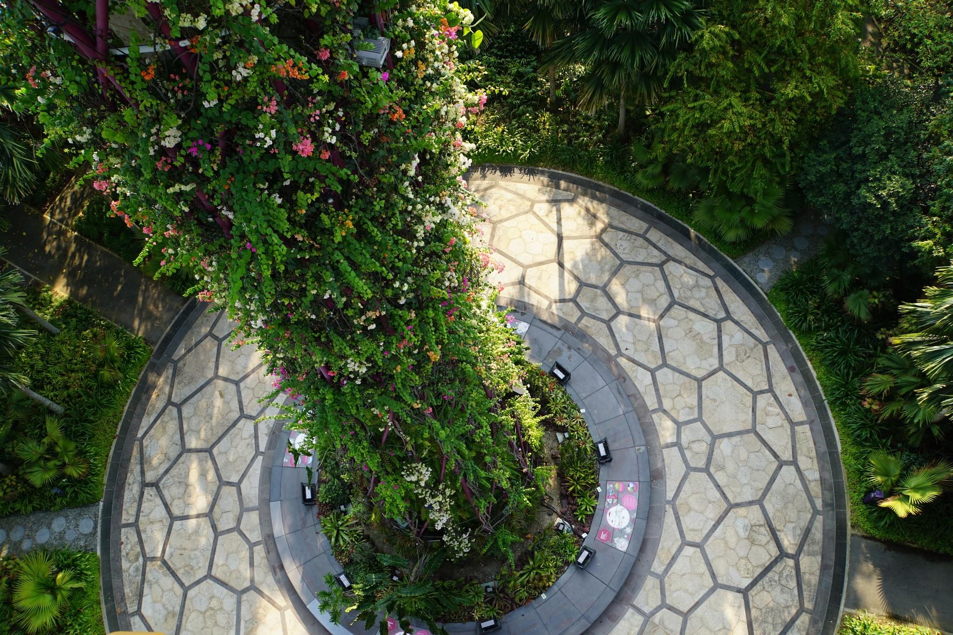 255 photos of Giant Tree Garden Structures – Fotoref