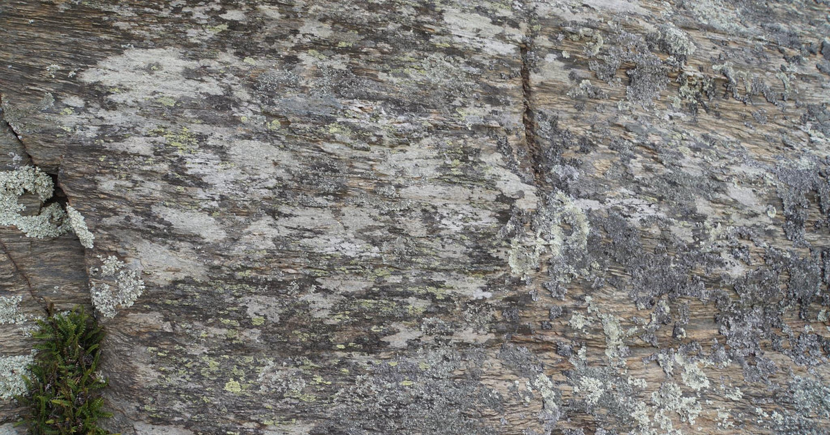 193 photos of Dry Field Rocks – Fotoref