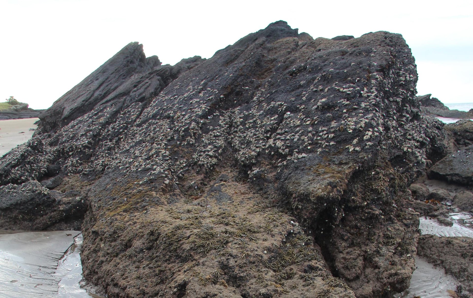 259 photos of Basalt Rocks – Fotoref