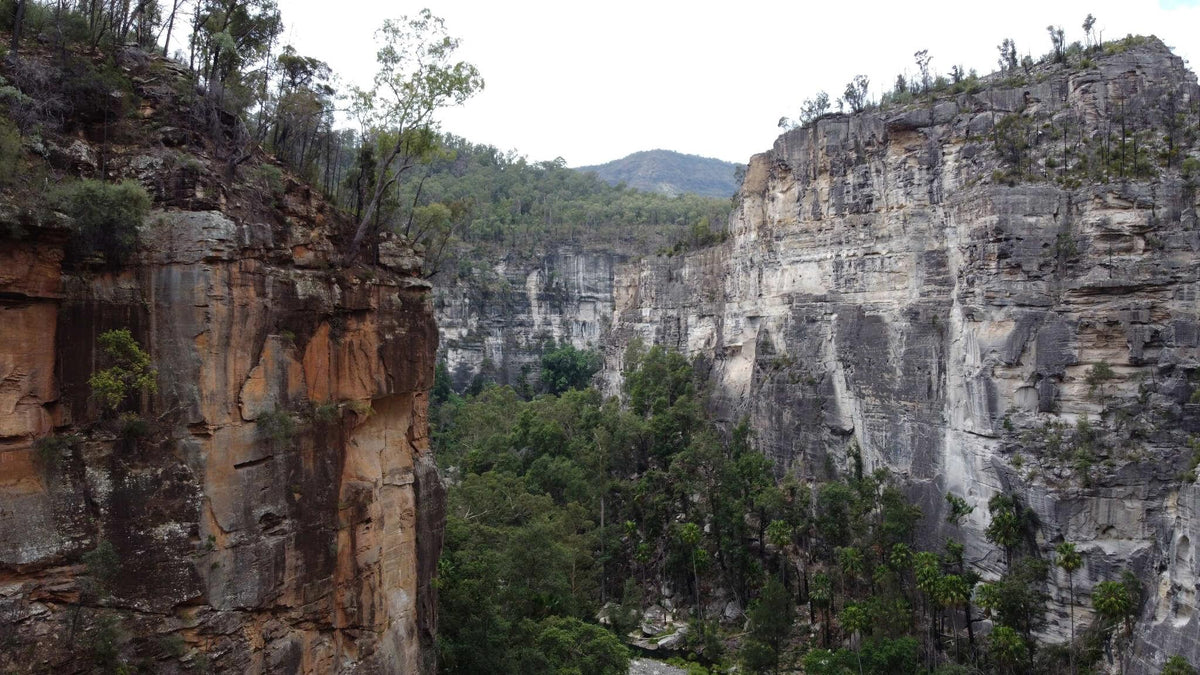 324 photos of Limestone Gorge Environment – Fotoref