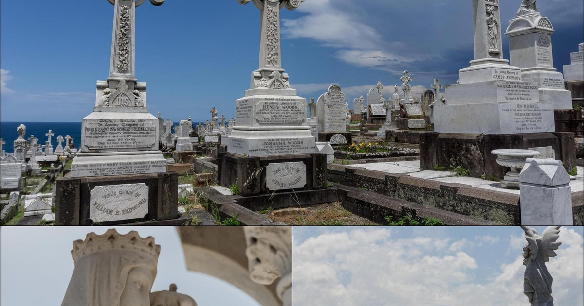 109 photos of Tropical Cemetery – Fotoref