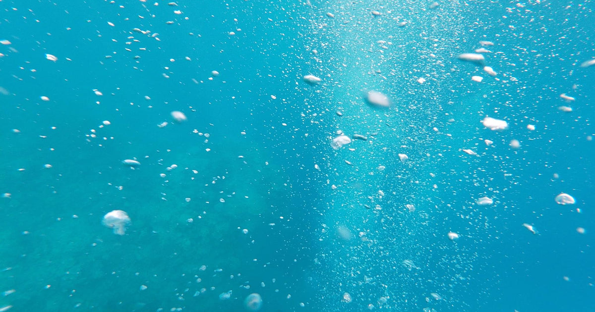 135 photos of Scuba Diving Bubbles – Fotoref