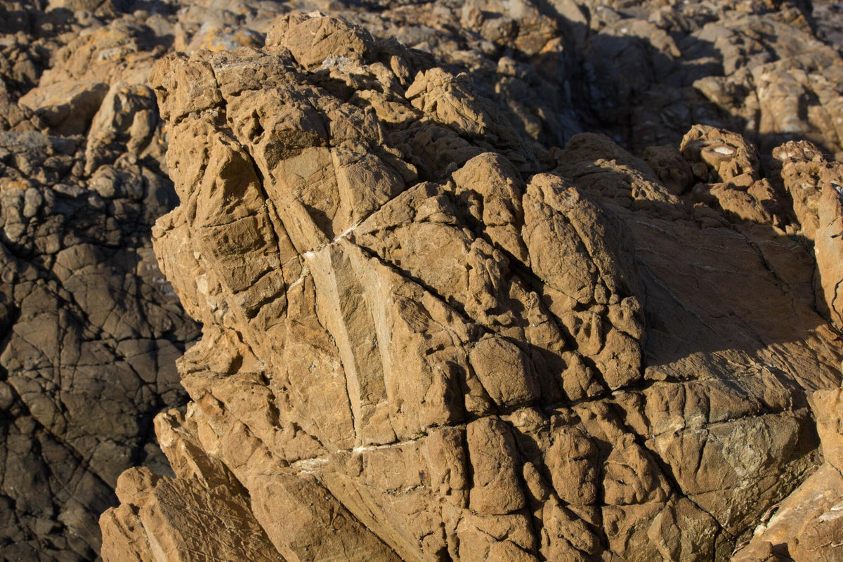 509 photos of Rugged Marine Rocks – Fotoref