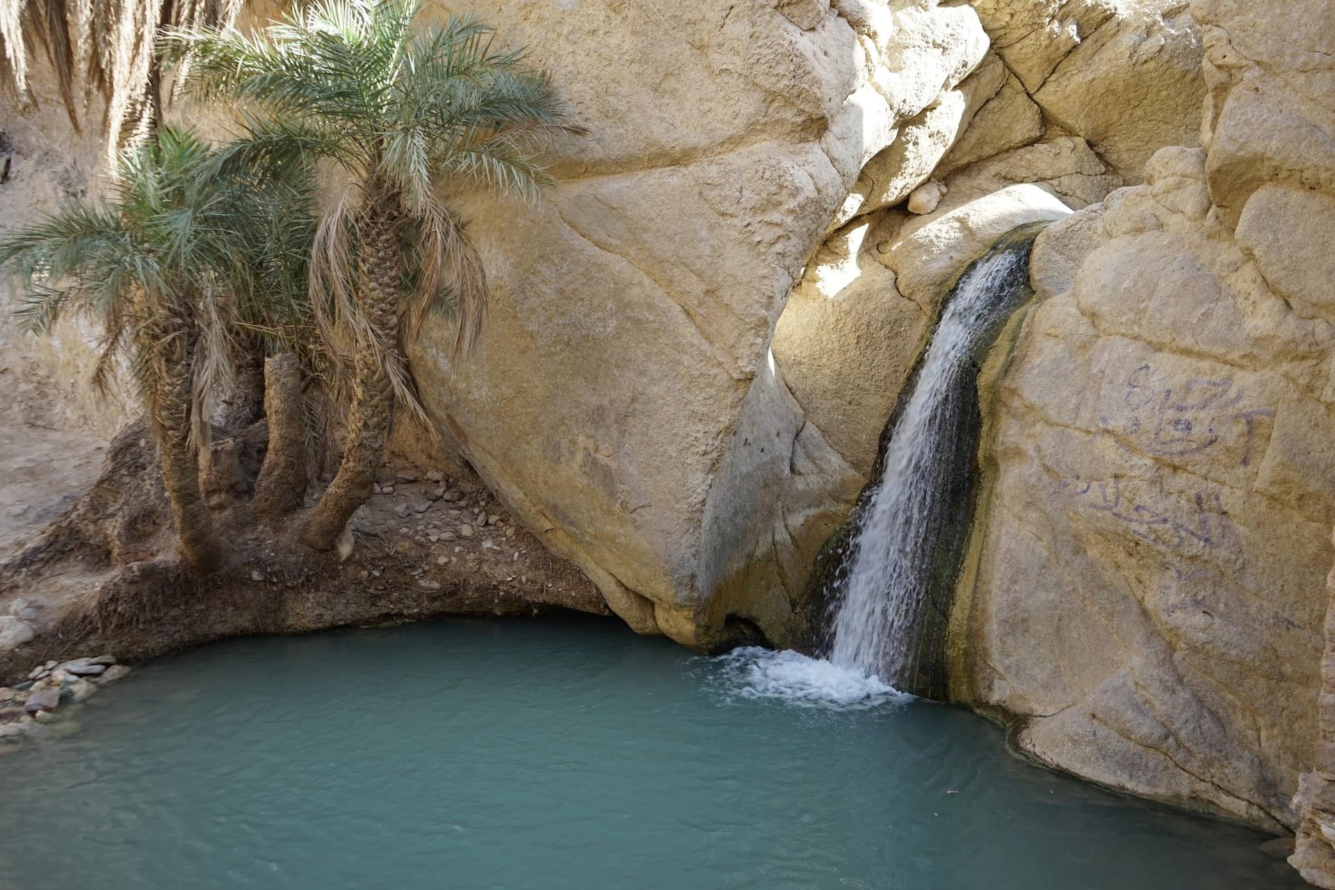 190 photos of Tunisian Desert Oasis – Fotoref