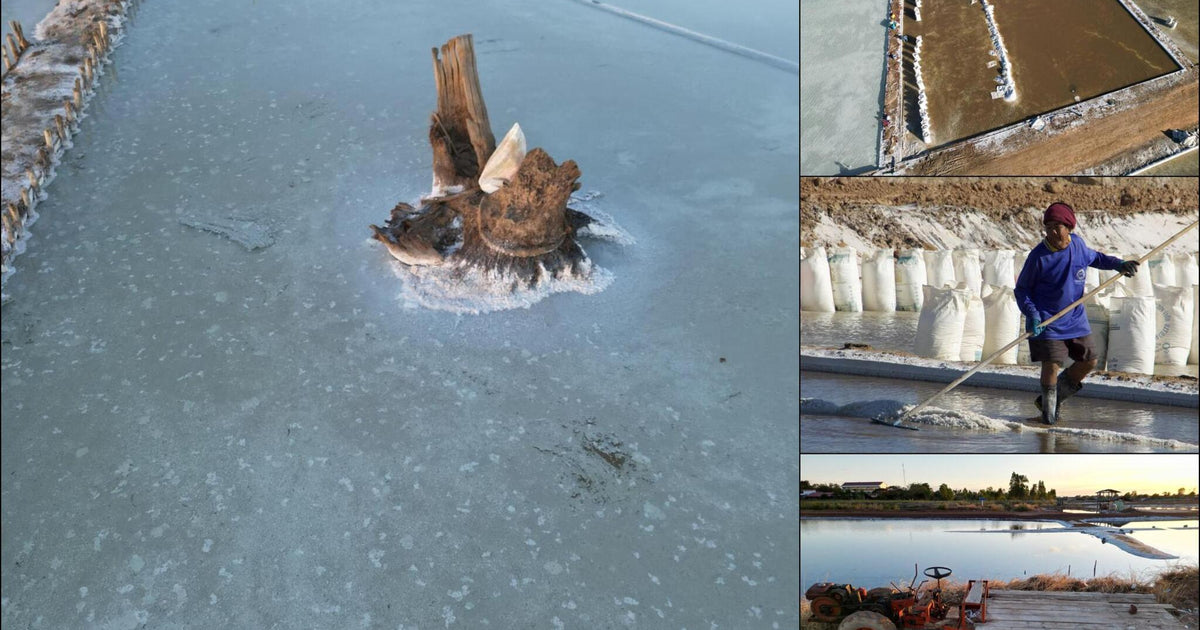 500 photos of White Salt Fields Farming – Fotoref