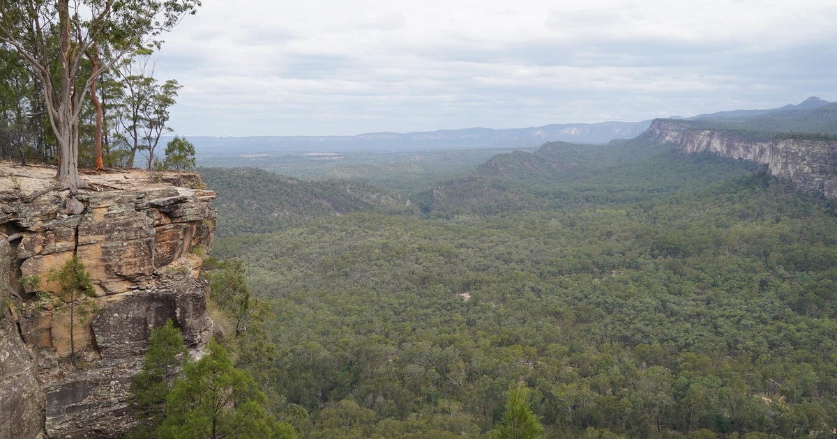 324 photos of Limestone Gorge Environment – Fotoref