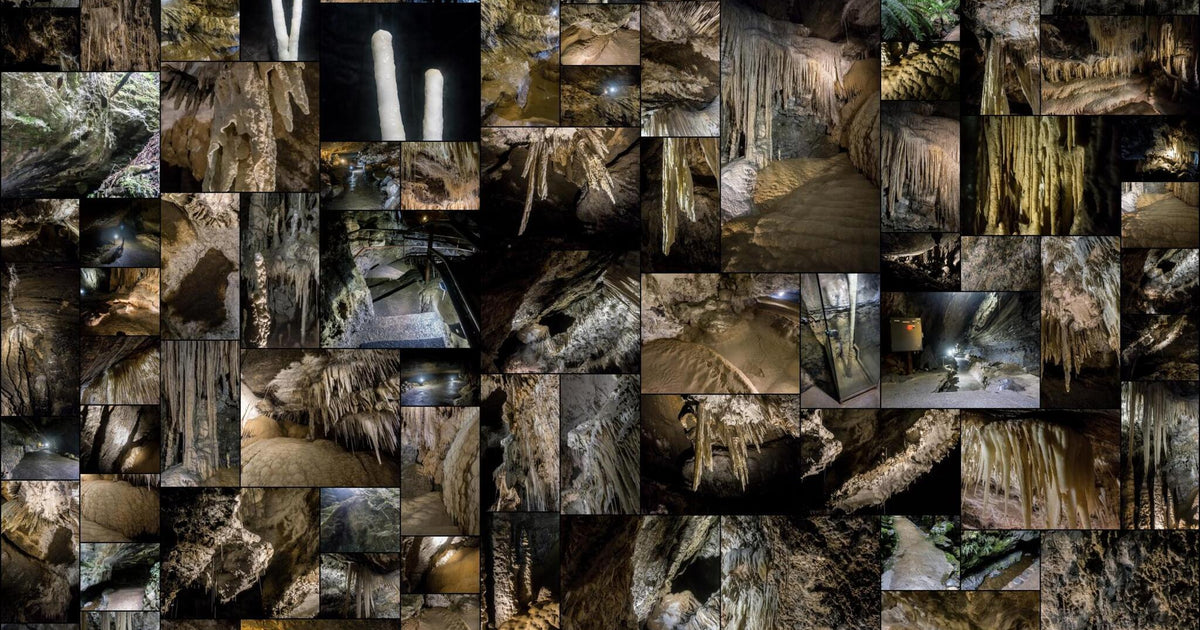 89 photos of Mole Creek Limestone Cave – Fotoref