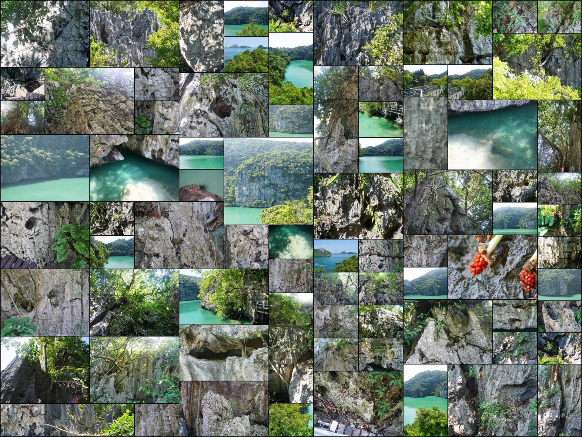 164 photos of Inner Island Lagoon – Fotoref