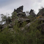 193 photos of Bulging Boulders Track – Fotoref