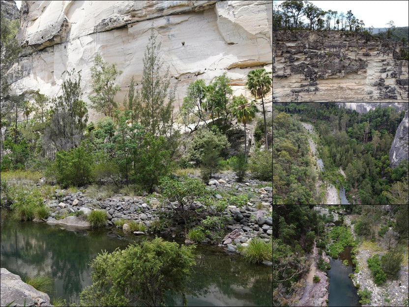 324 photos of Limestone Gorge Environment – Fotoref