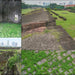 185 photos of Colonial Spanish Round Bastion Fort Ruins – Fotoref